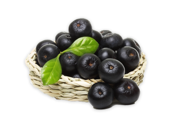 CocoK6™ Coconut Water Powder High Potassium | NP Nutra® - Wholesale ...