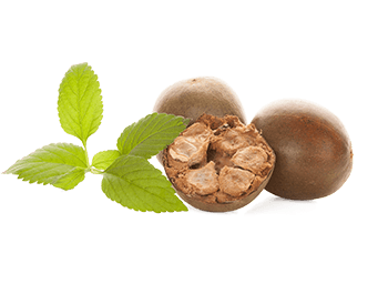 Wholesale Bulk Monk Fruit (Lo Han Guo) NP Nutra® - Wholesale Bulk Raw ...