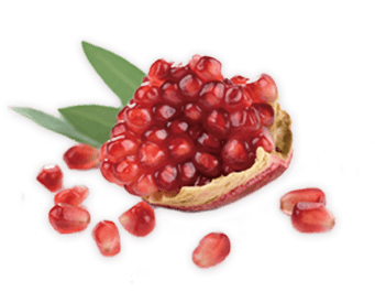 Wholesale Bulk Pomegranate Powder | NP Nutra® - Wholesale Bulk Raw ...