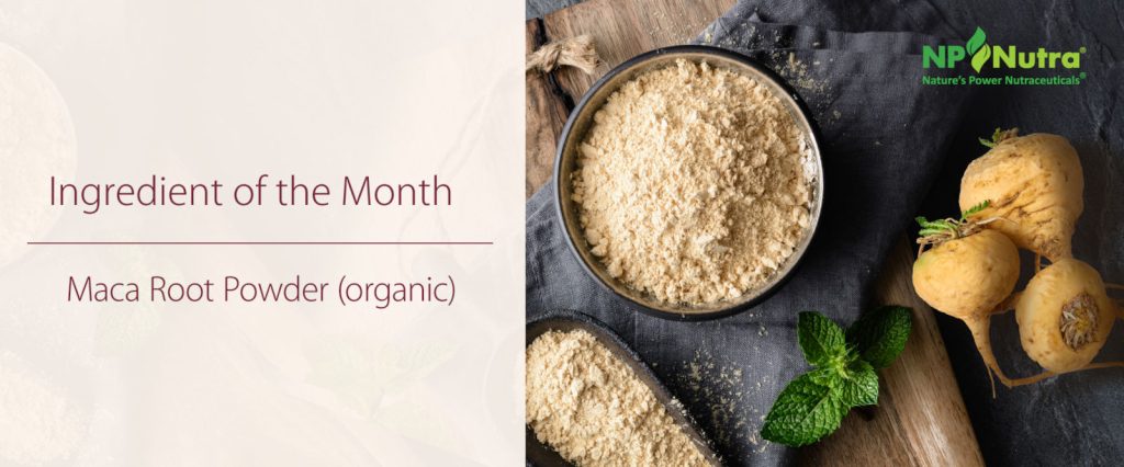 Ingredient of the Month - Organic Maca Root Powder - NP Nutra ...