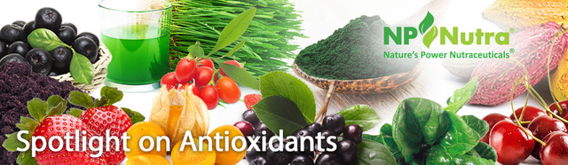 Spotlight on Antioxidants - NP Nutra® - Wholesale Bulk Raw Materials ...
