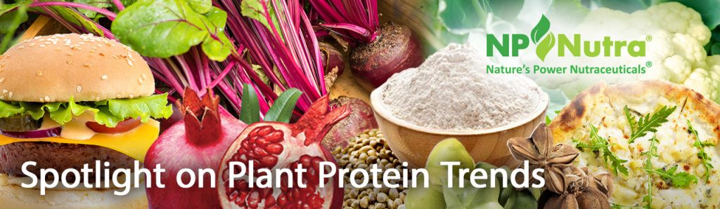 Spotlight on Plant-based Protein Trends – NP Nutra® – Wholesale Bulk ...