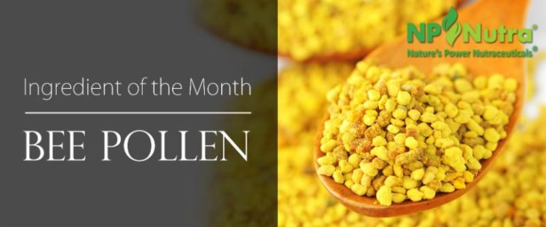 NP Nutra Ingredient of the Month: Bee Pollen – NP Nutra® – Wholesale ...