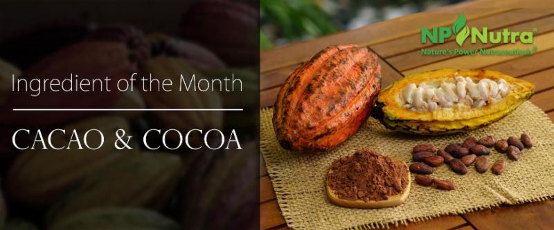 NP Nutra Ingredient of the Month: Cacao & Cocoa – NP Nutra® – Wholesale ...