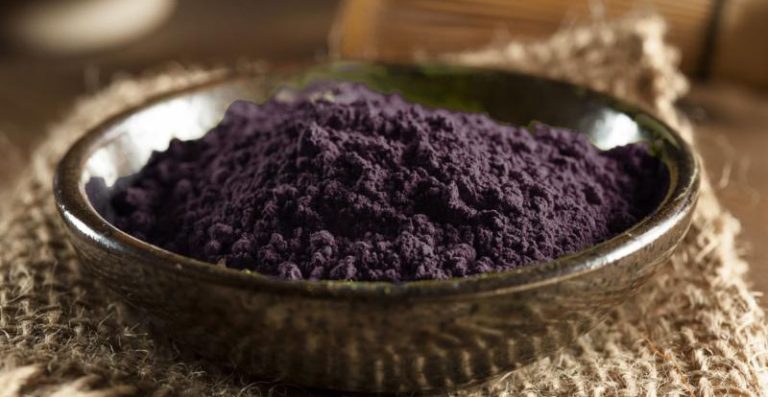 NP Nutra Ingredient of the Month: Elderberry - NP Nutra® - Wholesale ...