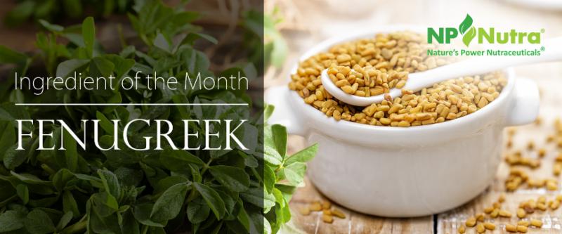 NP Nutra Ingredient of the Month: Fenugreek Powder - NP Nutra ...