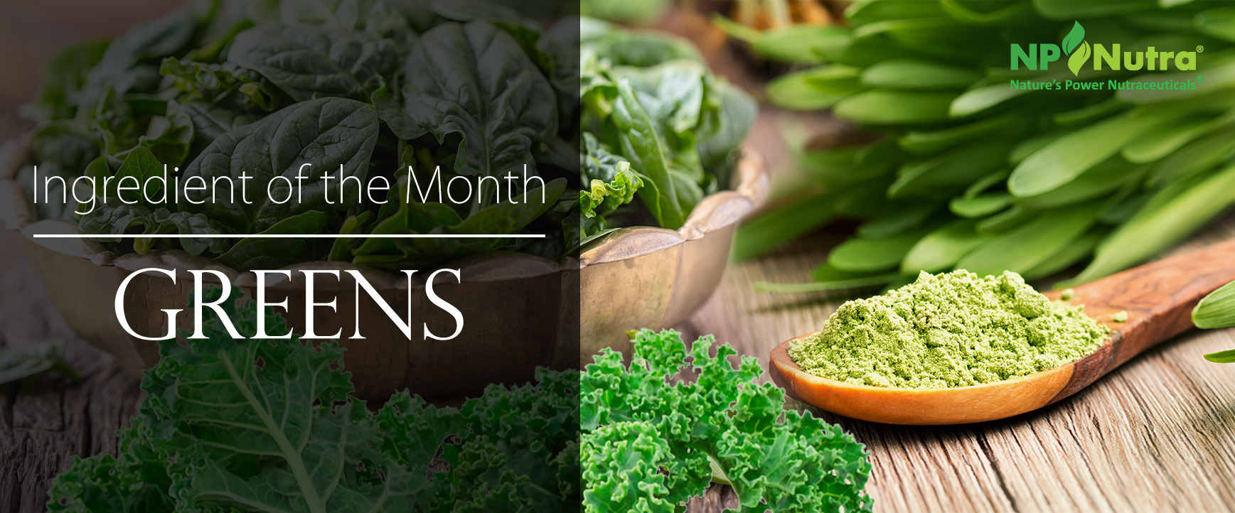 NP Nutra Ingredient of the Month: GREENS – NP Nutra® – Wholesale Bulk ...