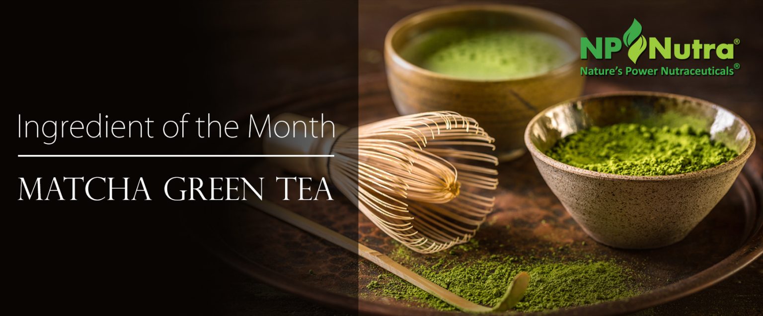 NP Nutra Ingredient of the Month: Matcha Green Tea Premium – NP Nutra ...